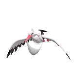 bombirdier | Pokedex-Wiki Pokédex