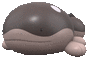 clodsire | Pokedex-Wiki Pokédex