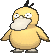 Psyduck | Pokedex-Wiki Pokédex