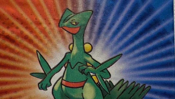 Ruby & Sapphire - Pokedex-Wiki Set